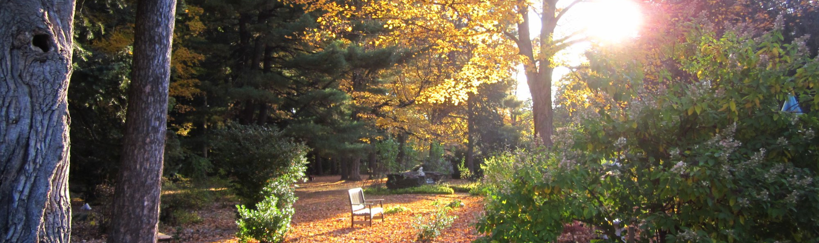 Home - Project New Hope